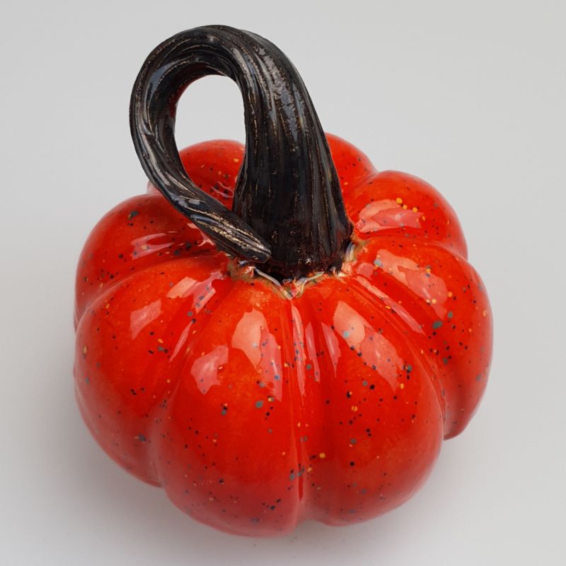 Pompoen speckled orange curl - Hart van Steen